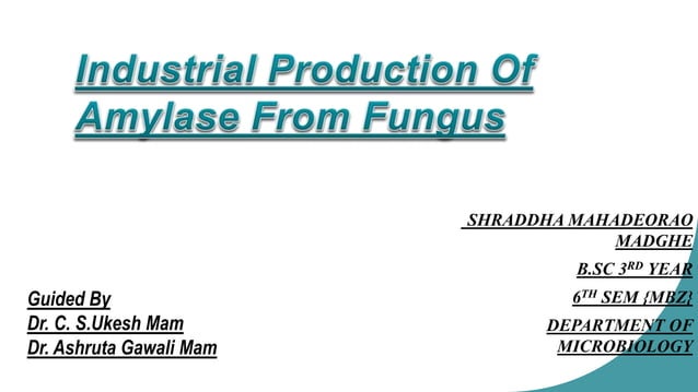 INDUSTRIAL PRODUCTION OF AMYLASE FROM FUNGUS | PPTX | Gardening | Home & Garden