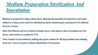 INDUSTRIAL PRODUCTION OF AMYLASE FROM FUNGUS | PPTX
