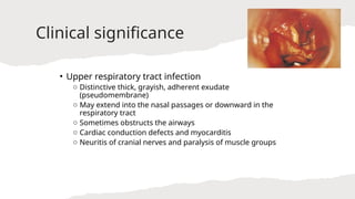 Microbiology Presentation - Diphtheriae.pptx
