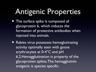 Micro bio(rhebovirus) | PPT