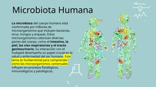 Microbiota tema de bacteriologia actualizado | PPTX