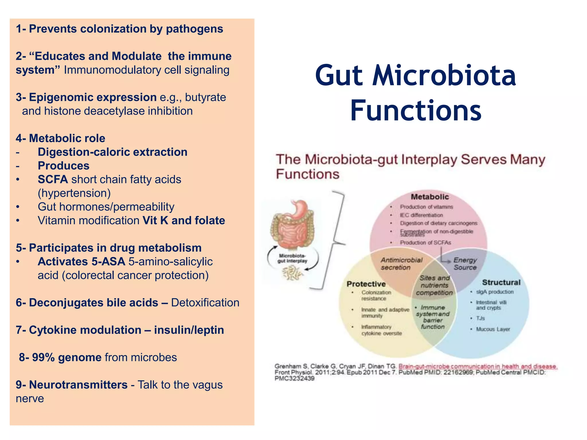 Microbiota Dysbiosis | PPTX | Digestive Disorders | Diseases and Conditions