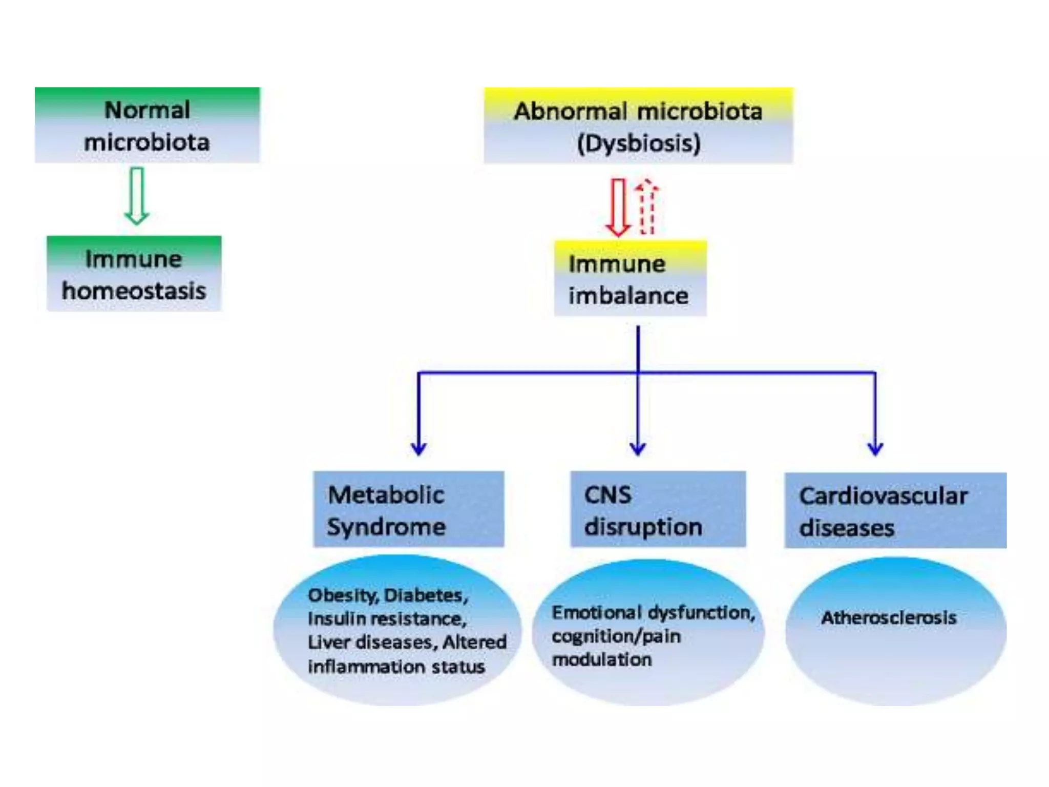 Microbiota Dysbiosis | PPTX | Digestive Disorders | Diseases and Conditions