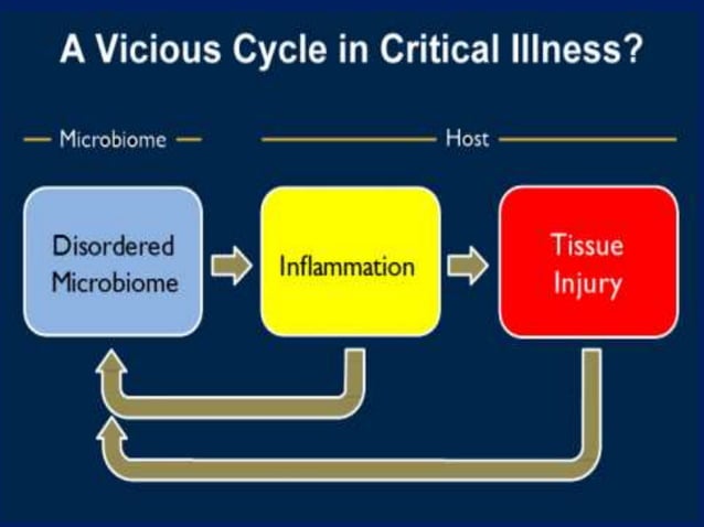 Microbiota Dysbiosis | PPTX | Digestive Disorders | Diseases and Conditions