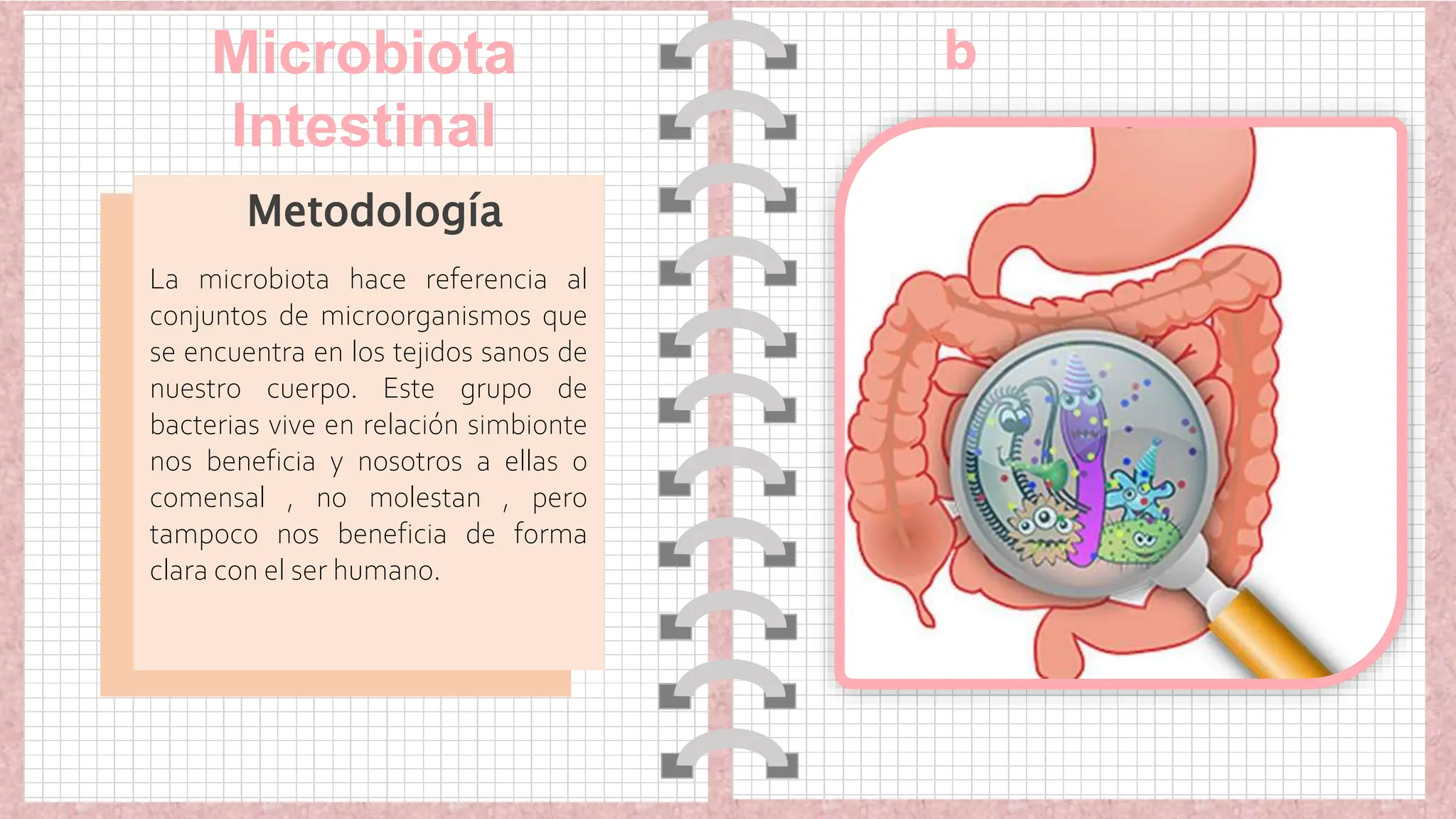 microbiota intestinal 2024 nutricion .pptx
