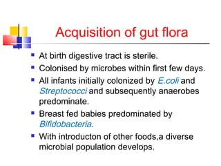 Gut flora and health | PPT