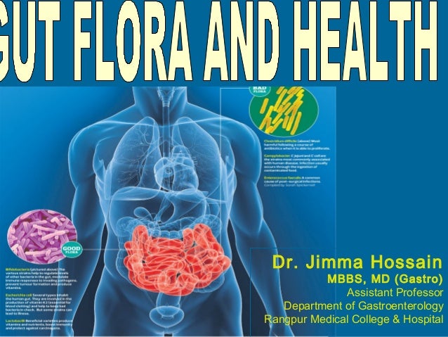 Normal Gut Flora