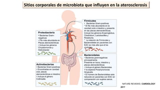 Microbiota y enfermedad cardiovascular | PPTX