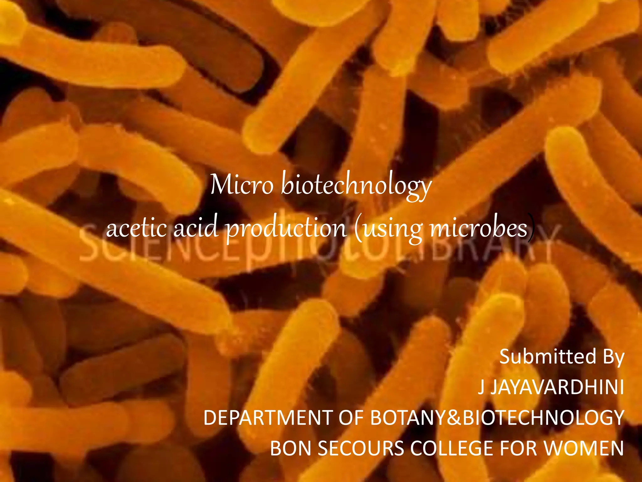 acetic acid production using microbes | PPTX