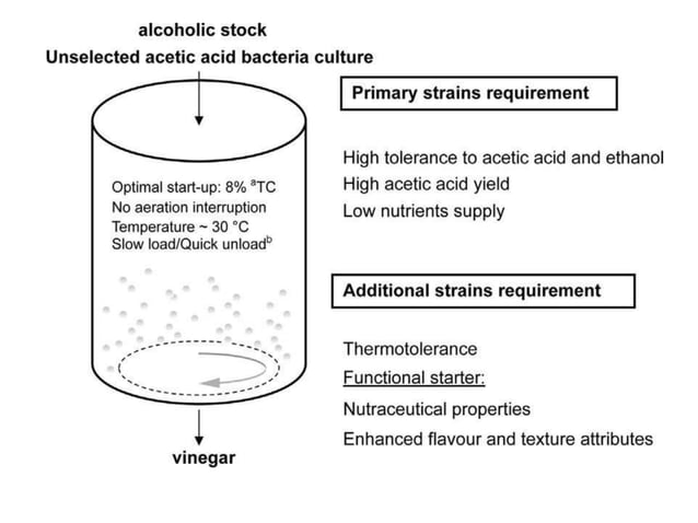 acetic acid production using microbes | PPT