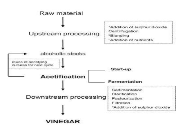 acetic acid production using microbes