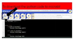 Microbit and Python programming skill.pptx