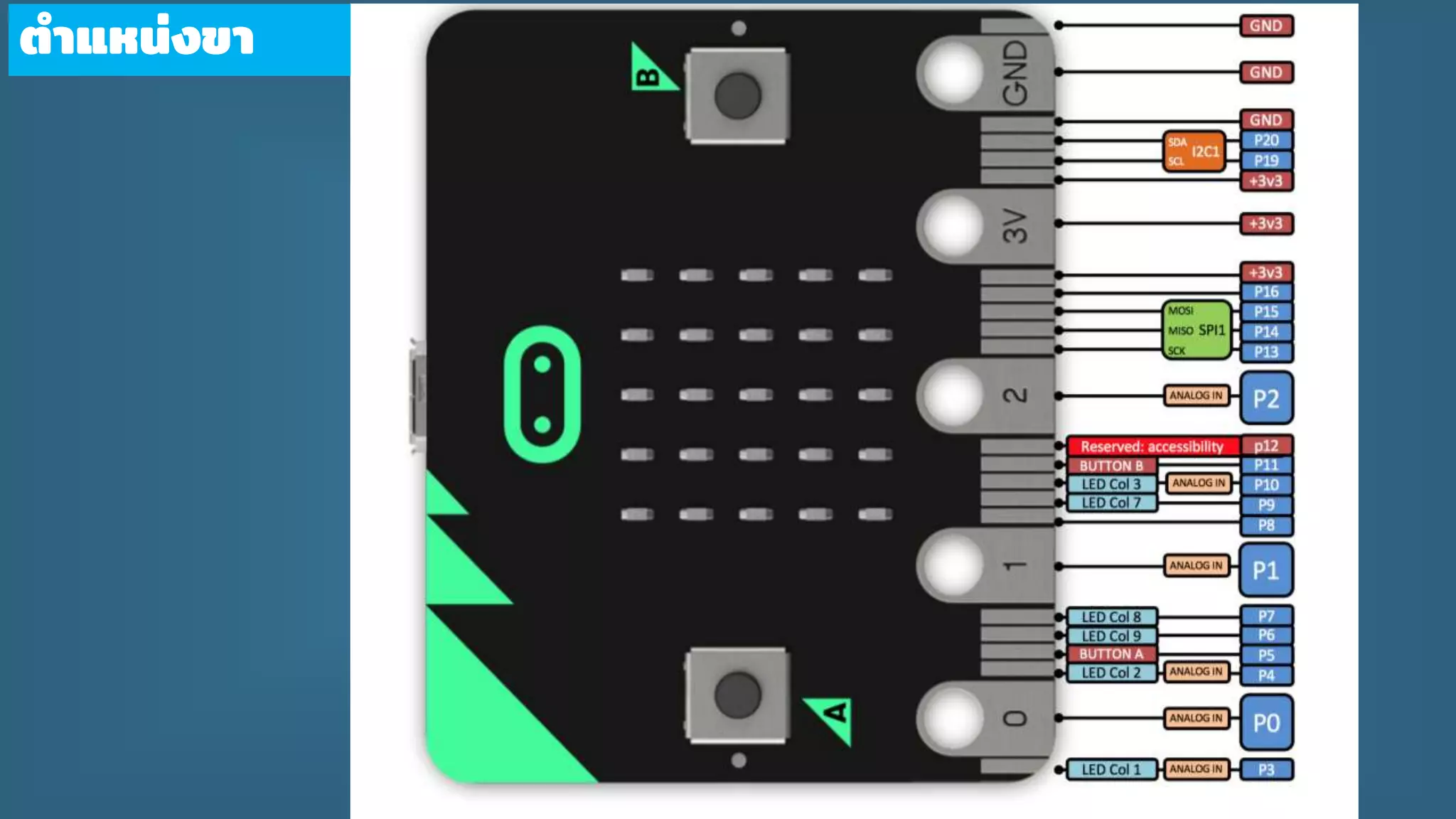 การใช้งานบอร์ด micro:bit เบื้องต้นด้วย Microsoft Make Code | PPTX