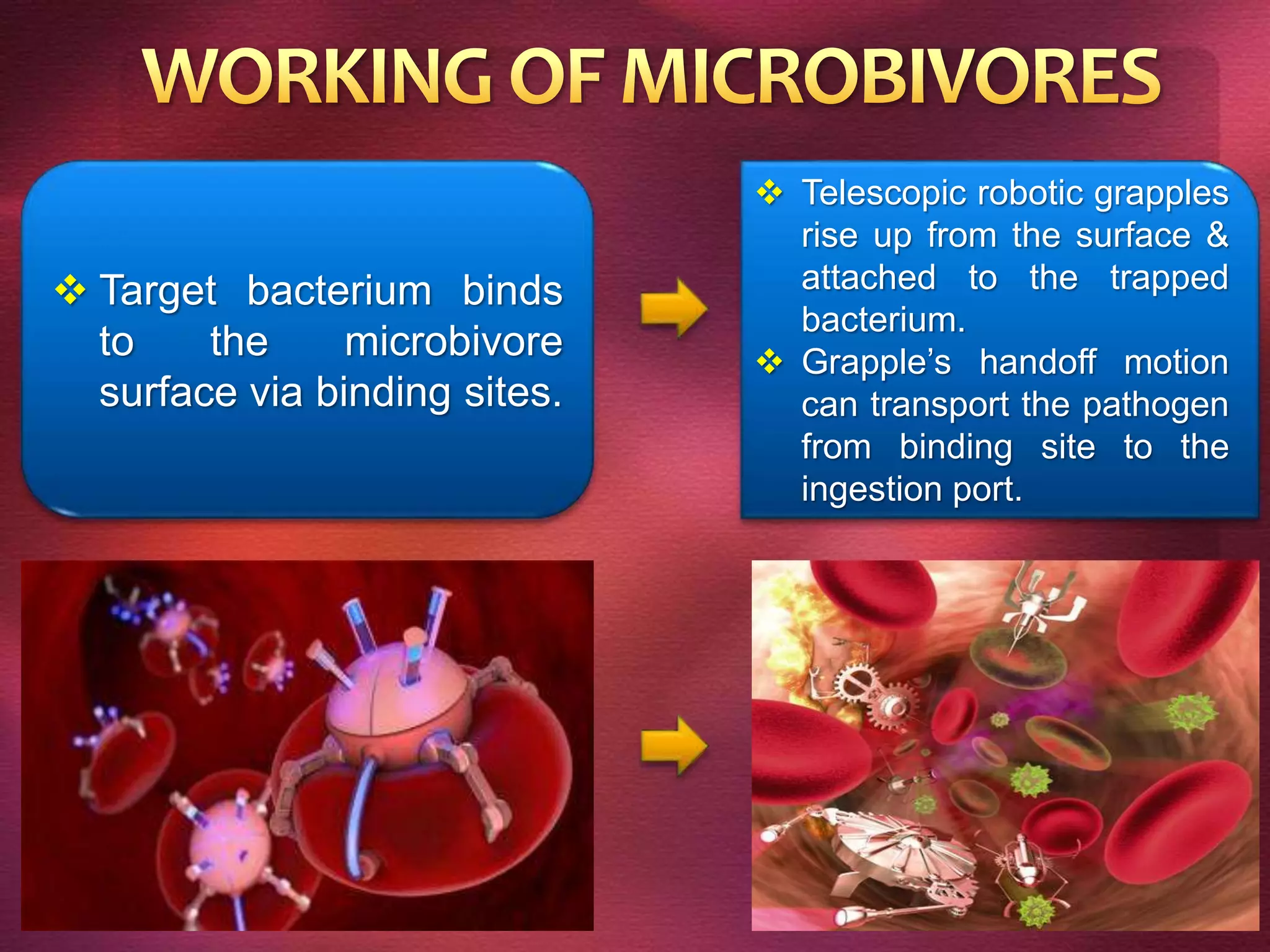 Microbivores | PPTX