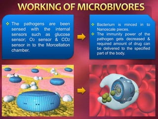 Microbivores | PPTX | Infectious Diseases | Diseases and Conditions