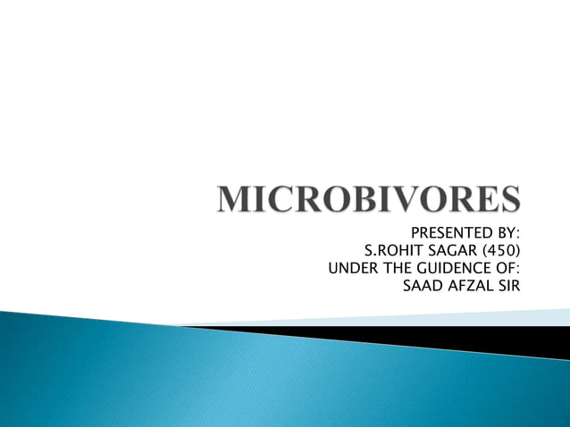 nanobio technology drug delivery robot Microbivores ppt | PPT