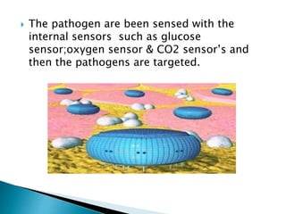 nanobio technology drug delivery robot Microbivores ppt | PPT