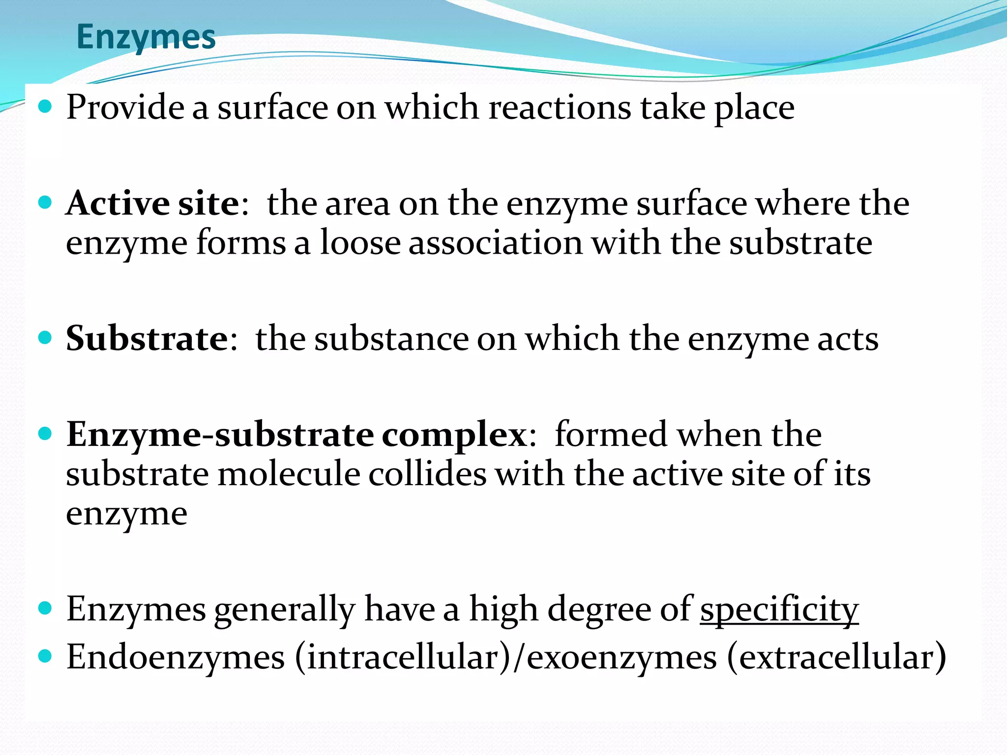 MIC310 (Microbial Physiology) - Chapter 4 : Enzymes | PPTX