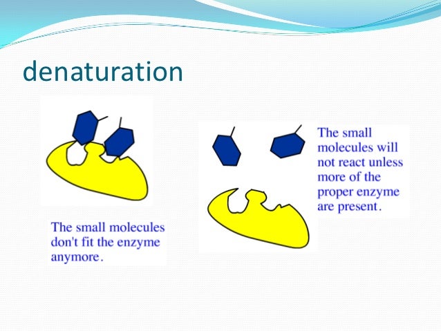 Mic310 Microbial Physiology Chapter 4 Enzymes