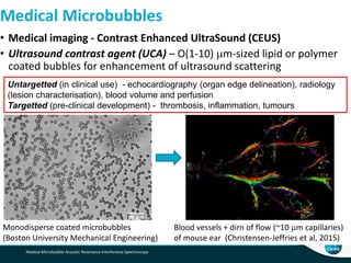 Sensing the Properties of Bubbles and Liquids with Acoustics ...
