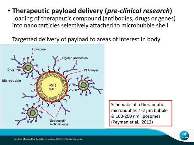 Sensing the Properties of Bubbles and Liquids with Acoustics ...