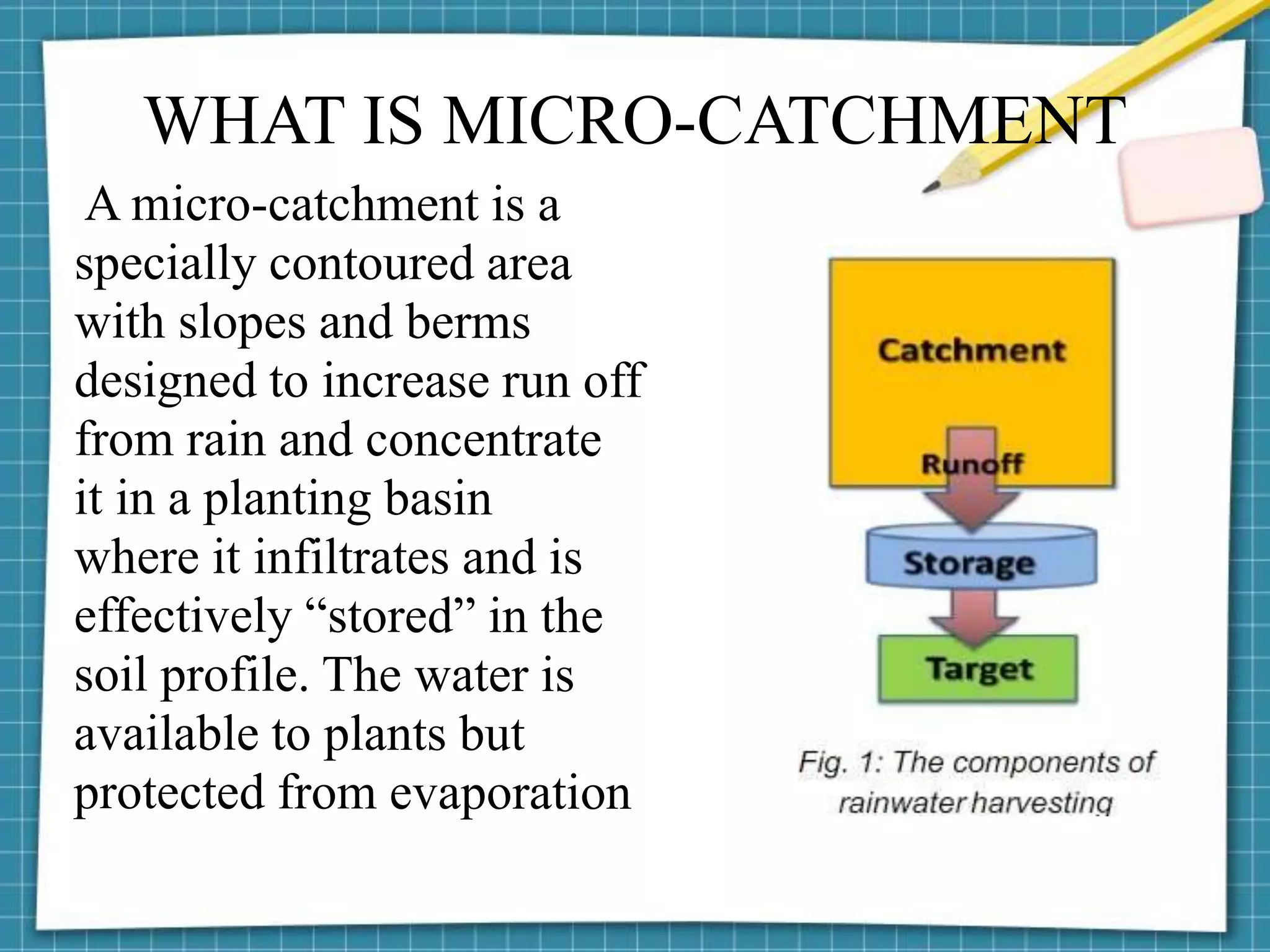 Miro catchment | PPTX