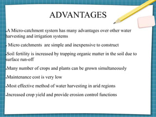 Miro catchment | PPTX | Agriculture | Industries