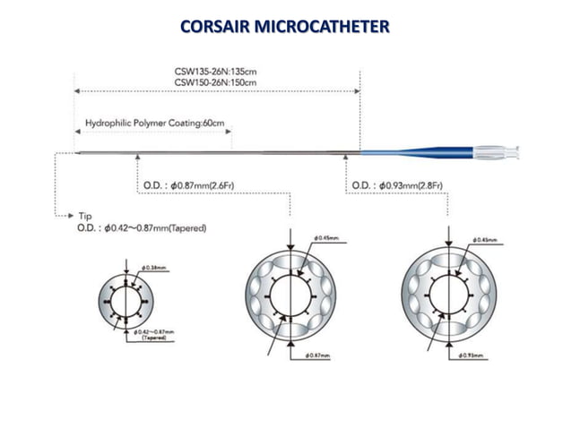 Microcatheters for antegrade and retrograde approach | PPTX