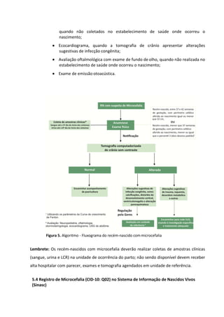 MICROCEFALIA protocolo clínico e epidemiológico - Pernambuco | PDF