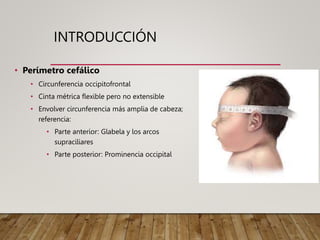Microcefalia y Macrocefalia en pediatria | PPTX