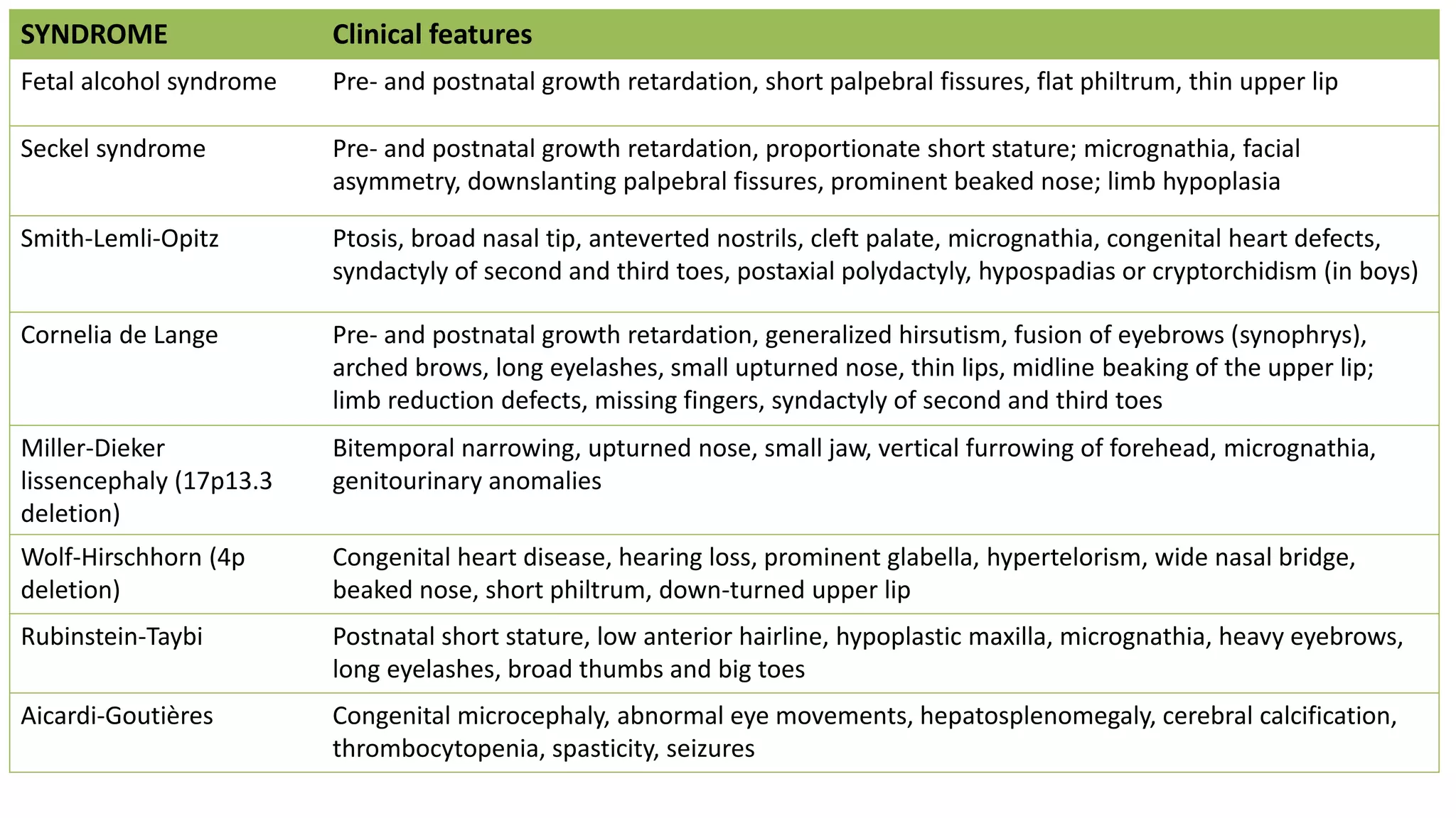 MICROCEPHALY jo.pptx