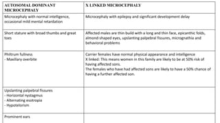 MICROCEPHALY jo.pptx