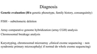 MICROCEPHALY jo.pptx