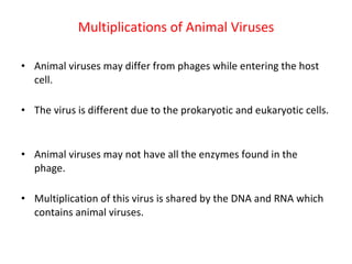 Micro Ch13 Edited | PPT