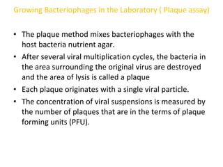 Micro Ch13 Edited | PPT
