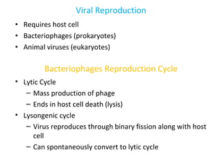 Micro Ch13 Edited | PPT