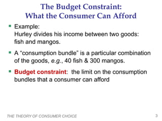 Micro_ch21_presentation.ppt
