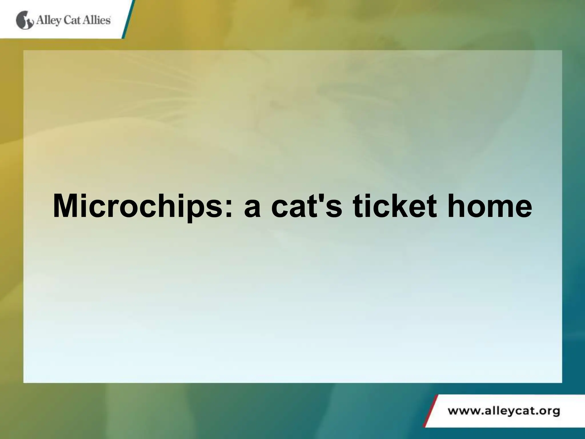 Microchips: a cat's ticket home - Alley Cat Allies | PPTX