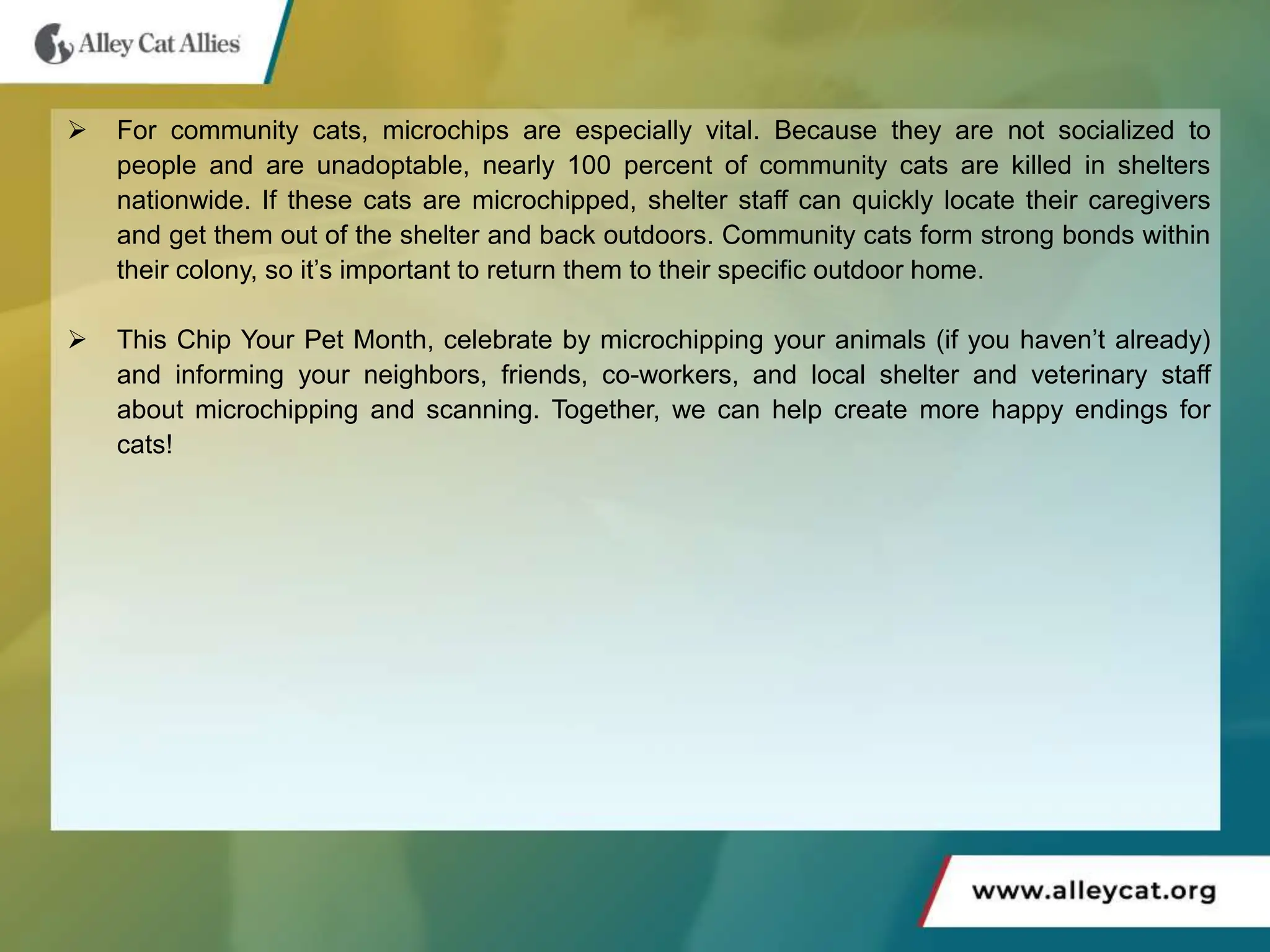 Microchips: a cat's ticket home - Alley Cat Allies | PPT