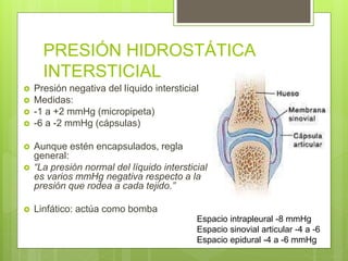 Microcirculacion | PPTX