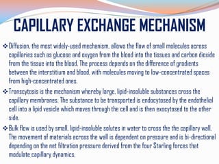Microcirculation and Capillary exchange | PDF | Biological Sciences ...