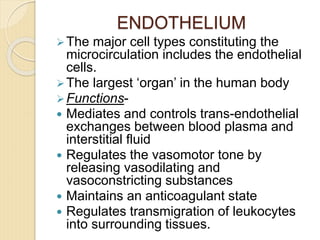 Microcirculation.ppt