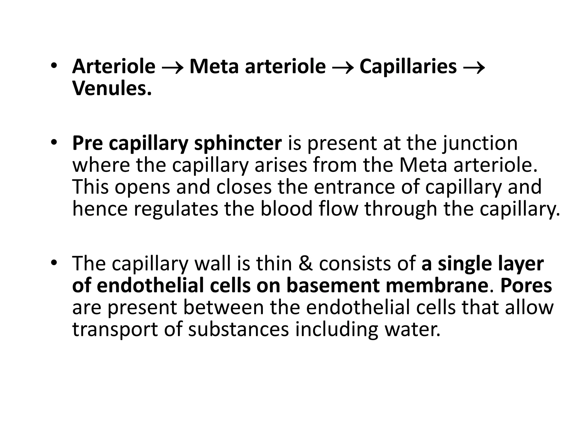 MICROCIRCULATION overview. Cardiovascular system | PPT