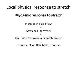 MICROCIRCULATION overview. Cardiovascular system | PPT