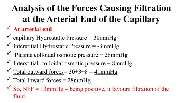 microcirculation - COMPONENTS- STRUCTURE - FUNCTIONS - IMPORTANCE | PPT