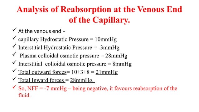 microcirculation - COMPONENTS- STRUCTURE - FUNCTIONS - IMPORTANCE | PPT