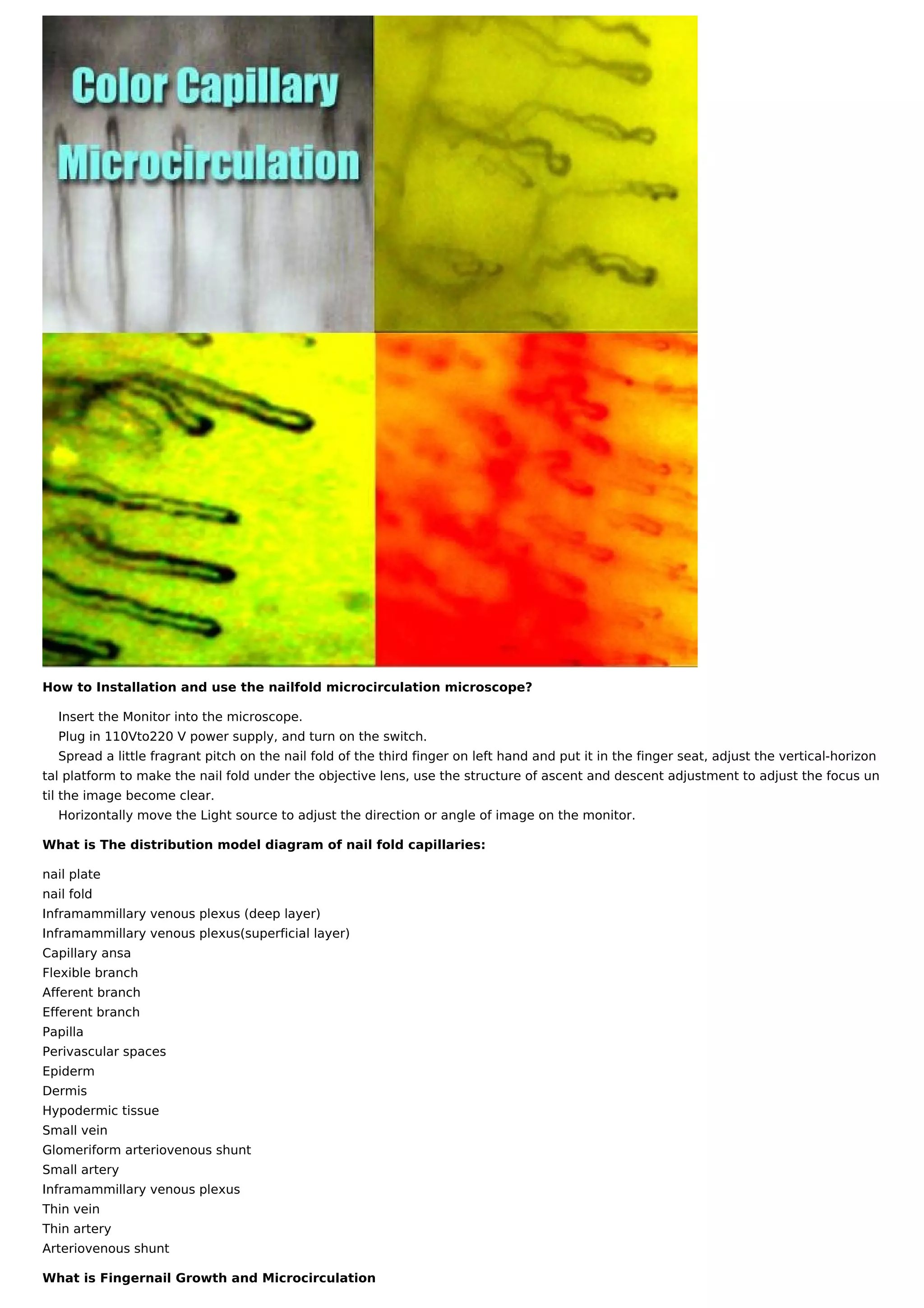 Microcirculation microscope and its parts is what | PDF