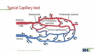 Microcirculation | PPTX