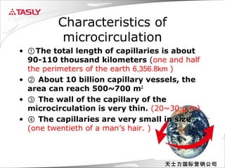 Microcirculation | PPT