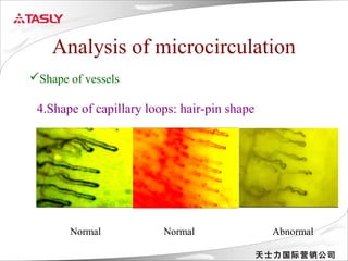 Microcirculation | PPT